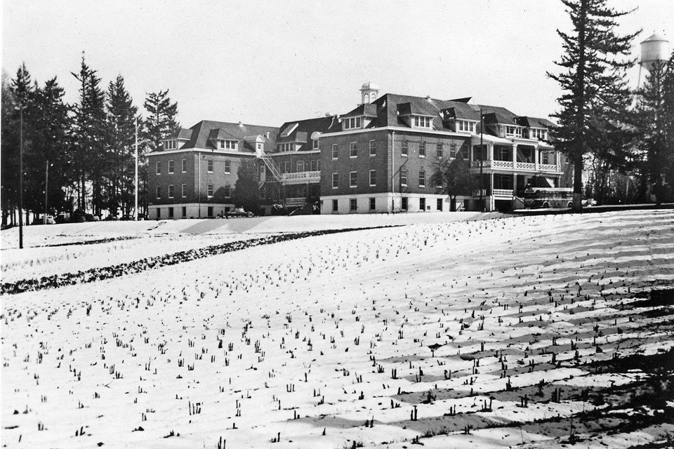 The Vast Continuum…. – McMenamins Blog