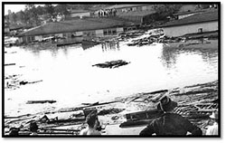 Vanport: “DON’T GET EXCITED” – McMenamins Blog